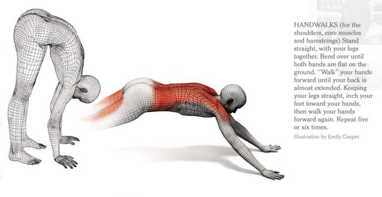 Handwalks - Biokineticist Andries Lodder | Bio4Me