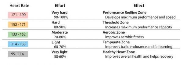 five-heart-rate-training-zones-chart - Biokineticist Andries Lodder ...