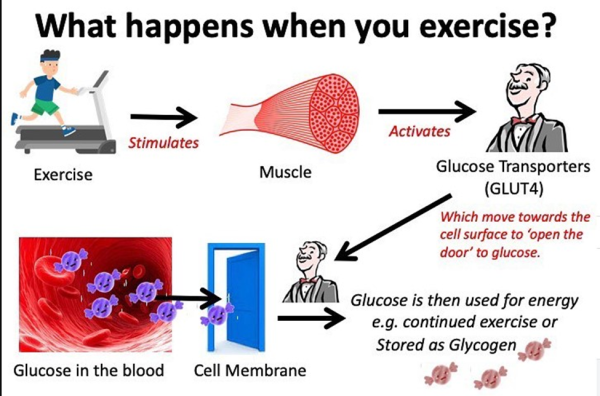 blog - Biokineticist Andries Lodder | Bio4Me